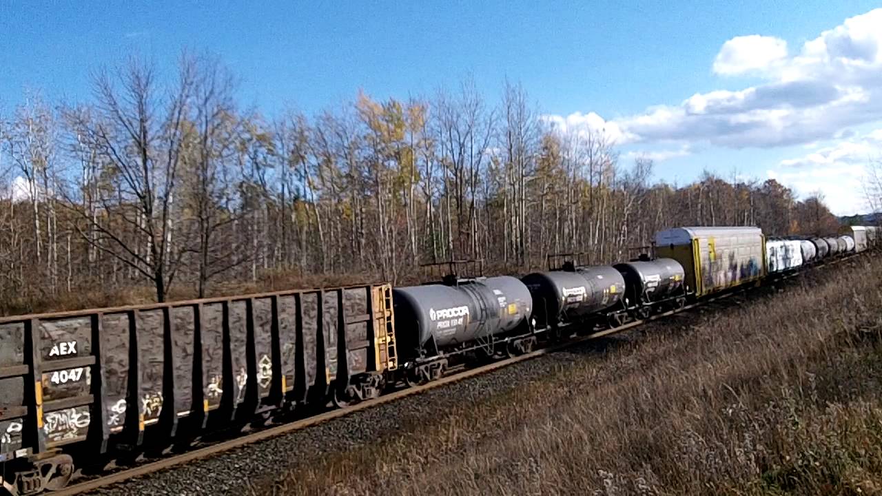 CN 382 w/ shiny CN 2636, CN 2178 & IC 1001 all hooked E.S. lead this ...