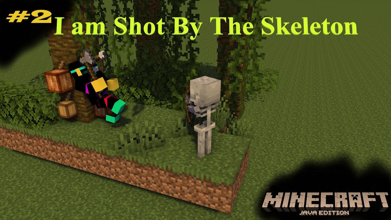 Survival Series Part 2minecraft Java Edi Was Shot By The Skeleton😥😥😥 Youtube