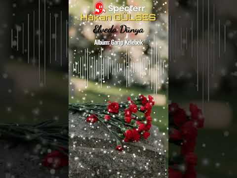 Elveda Dünya-Hakan Gülses (Albüm: Garip Kelebek)