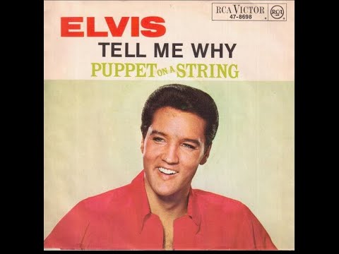 Tell Me Why_ Elvis Presley_ In Stereo Sound_2_1 (1966 #33) - YouTube