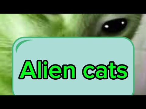 ALIEN CATS, EPISODE 1!!! #roblox #aliencat #memes - YouTube