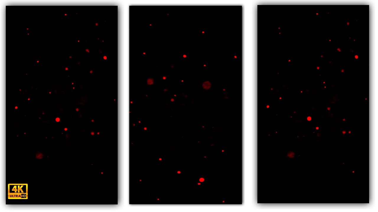 Red Particles 4K Video Background Effect | Black Screen Effect Smooth ...