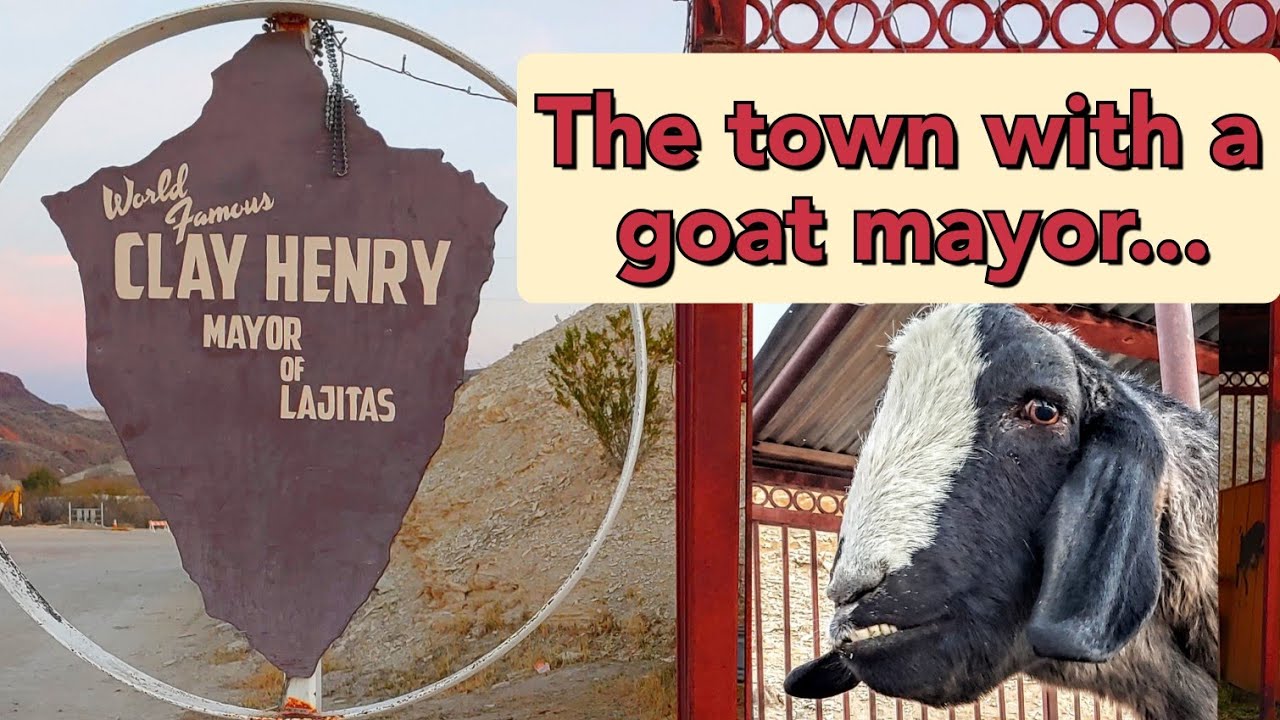 Lajitas, Terlingua and the goat that'a a mayor. - YouTube