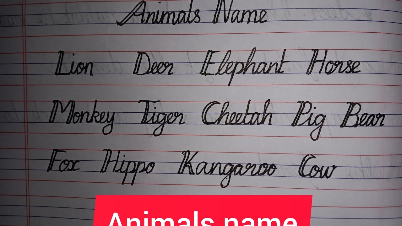Animals name in Cursive writing - YouTube