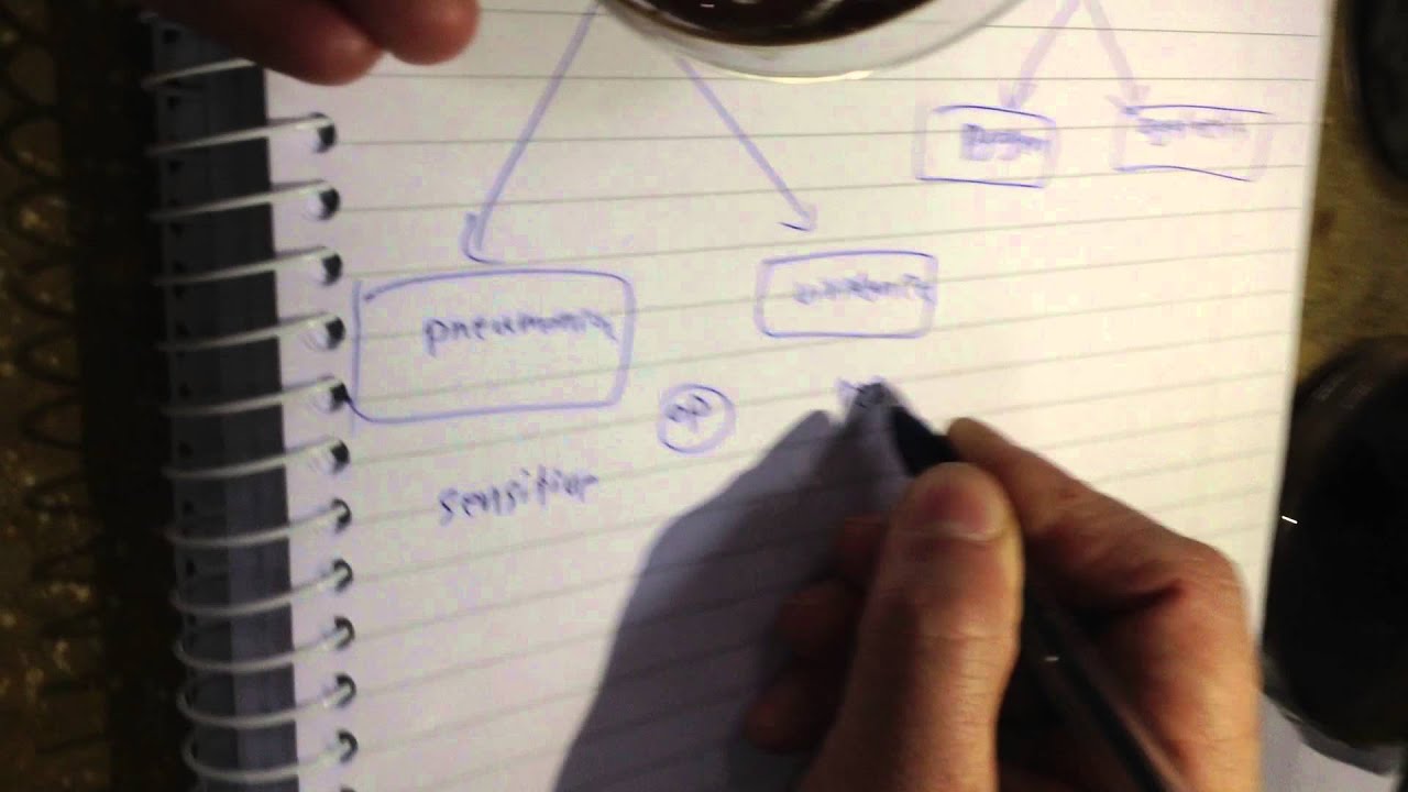 Identification of Streptococcus - YouTube
