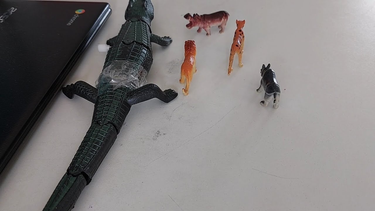 alligator,lion,cheetah,rhino and hippo - YouTube