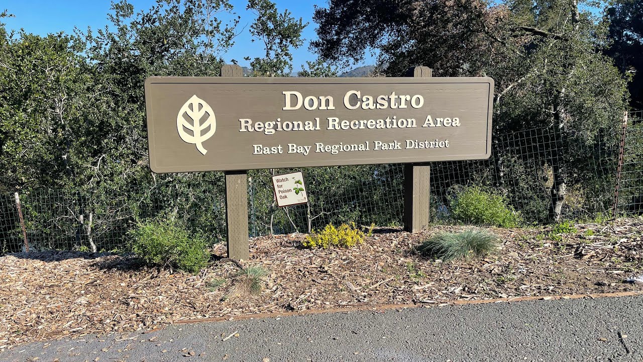 Fishing Don Castro Reservoir - YouTube