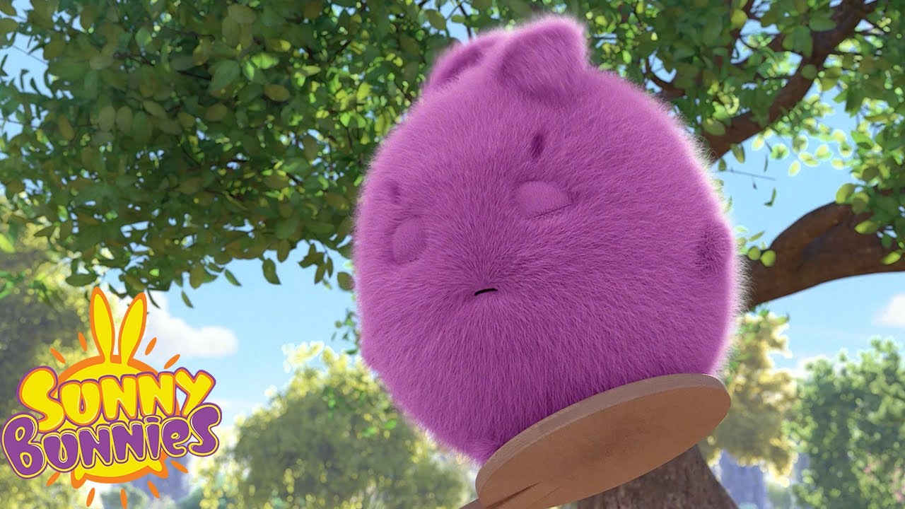 SUNNY BUNNIES - Stay Awake Big Boo | Season 3 | Cartoons for Children ...