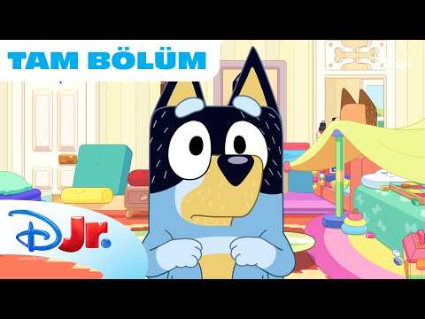 Odacık | Bluey | @DisneyPlusTR