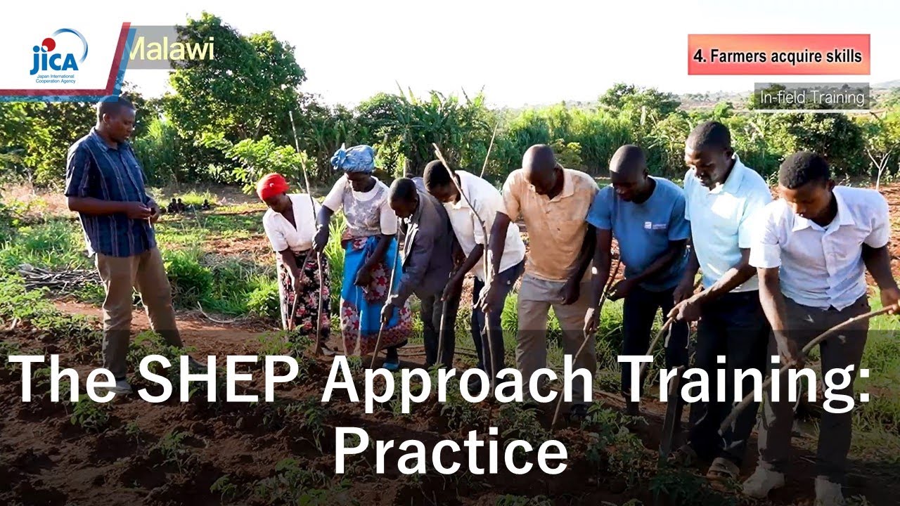 【Agricultural and Rural Development】The SHEP Approach Training ...