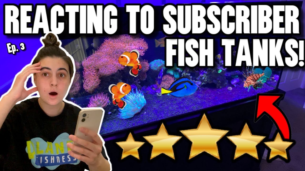 Reacting To Fish Tank Aquariums From Subscribers! (Ep. 3) - YouTube