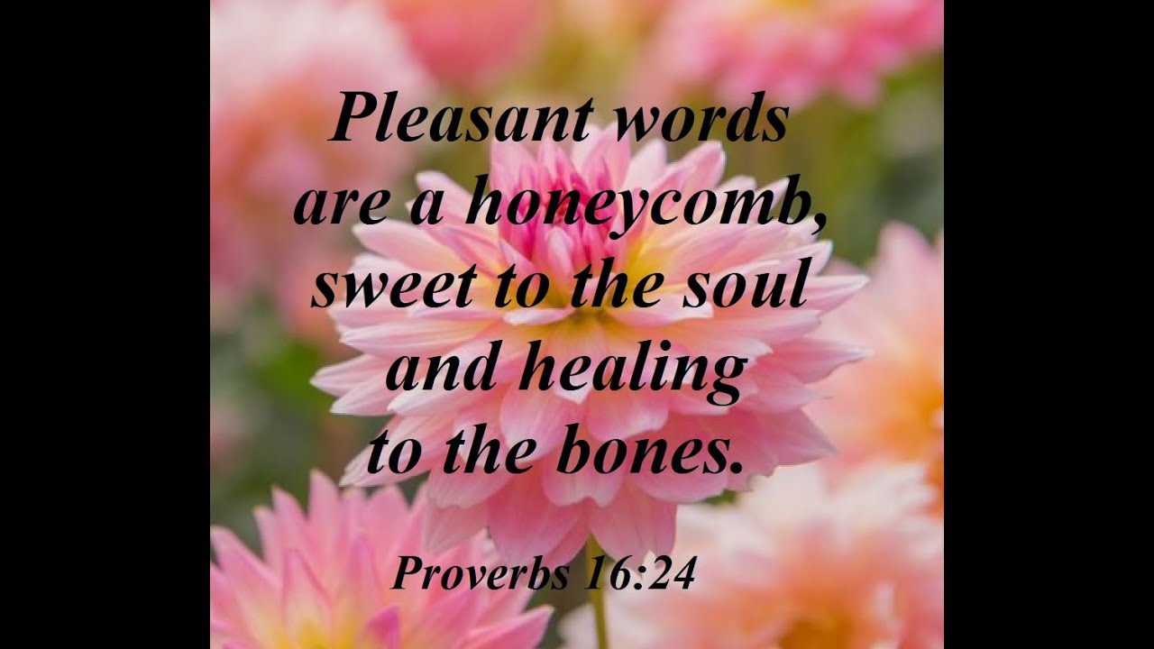 PROVERBS 16:24 Scripture song by Cecile - YouTube