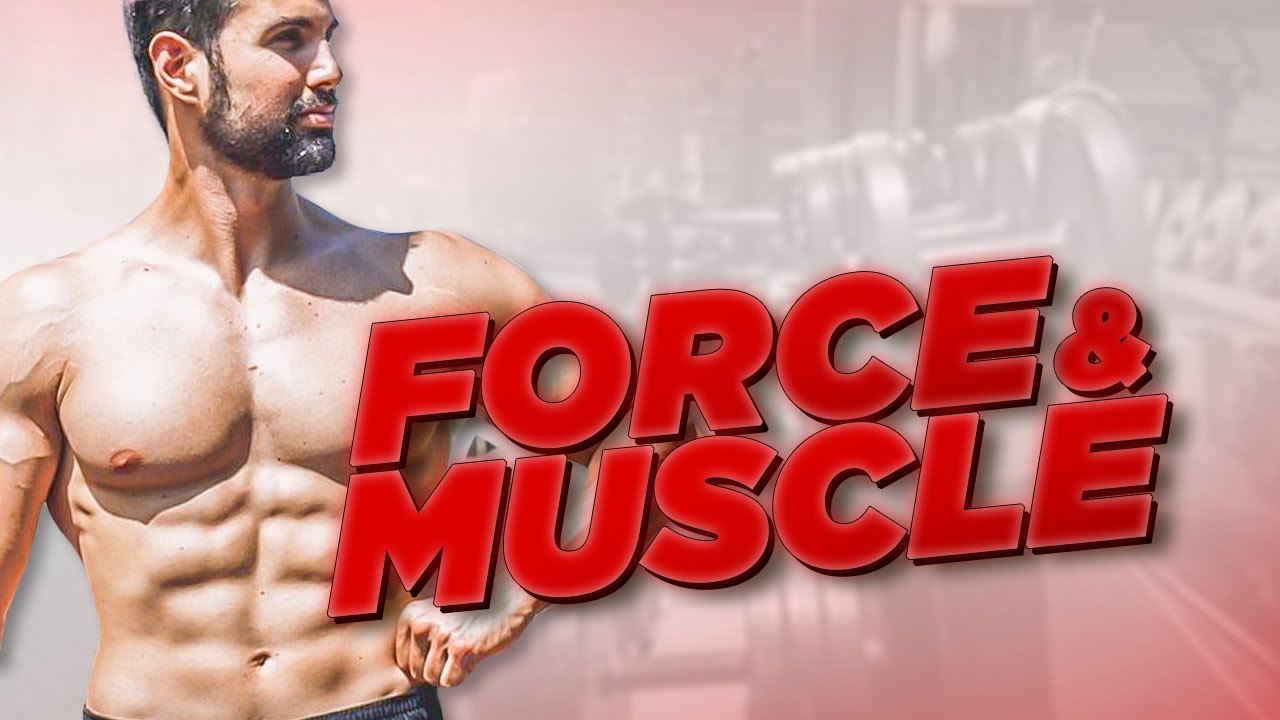 FORCE ET MUSCLE EN MUSCULATION - YouTube