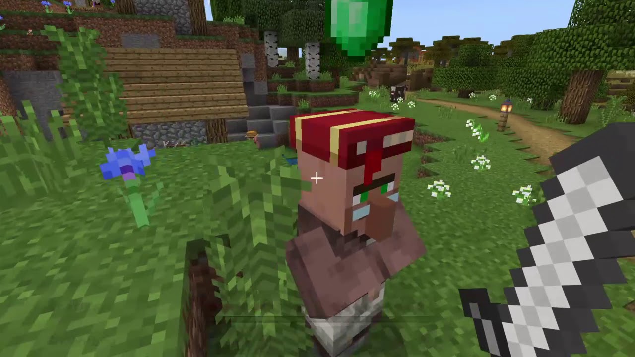Minecraft wandering trader w/will - YouTube