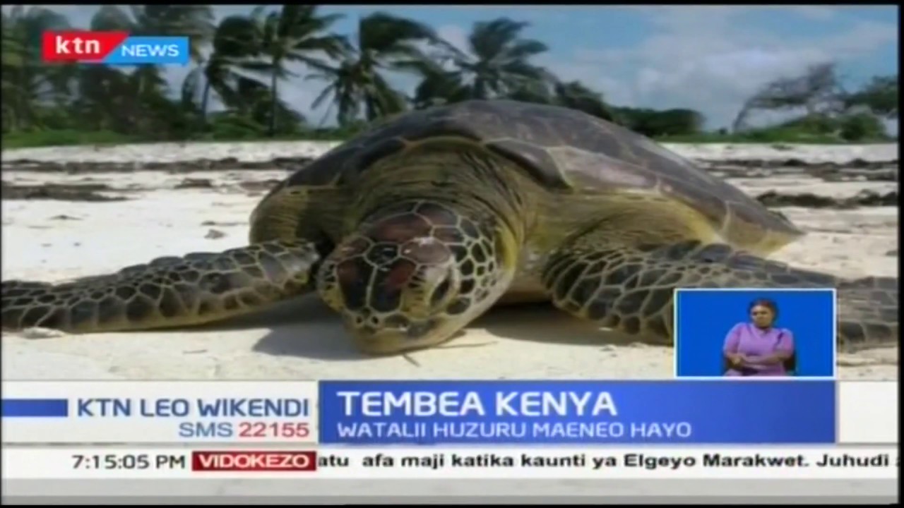 Tembea Kenya: Watamu - YouTube
