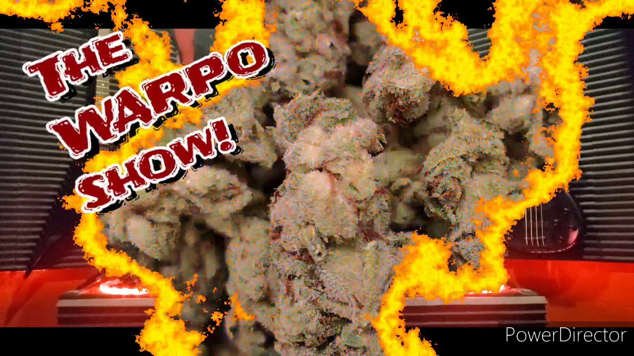 The Warpo Show How to get weed during social distancing Episode #15 ...