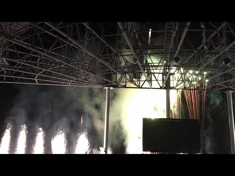 Dolphins and fireworks