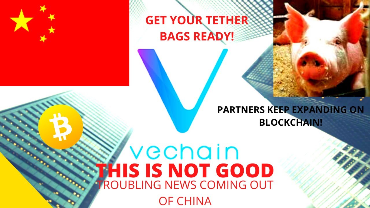 VECHAIN LANDS NEW PARTNERSHIP(SPECULATION) VECHAIN GAINS IN DANGER WITH ...