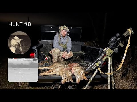 NIGHT hunting COYOTES with a THERMAL SCOPE - YouTube