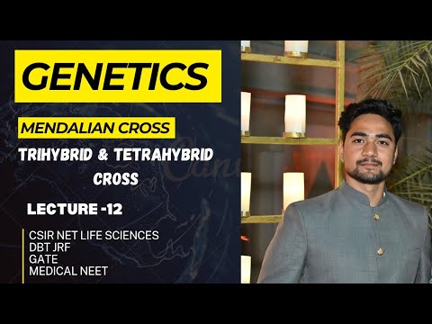 Tri-hybrid & Tetra-hybrid Cross - YouTube