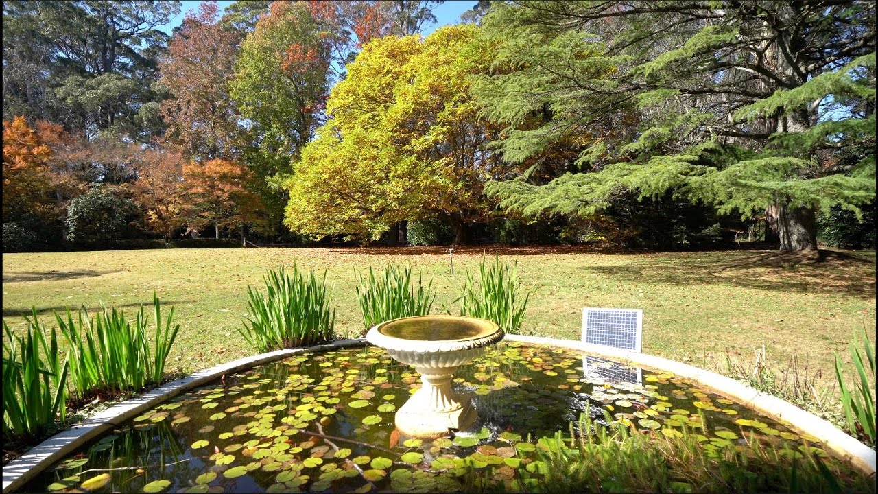 Breenhold Gardens @ Mount Wilson, Blue Mountains - YouTube