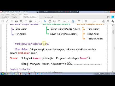 2. İSİM BİLGİSİ, ÖZEL ADLAR VE TÜR ADLARI #tatildegiluzaktanegitim