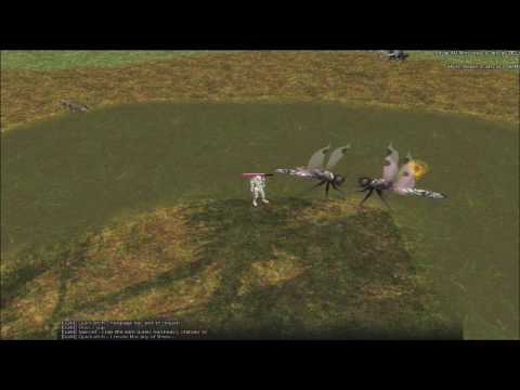 Mabinogi: Giant Dragonfly Fight - YouTube