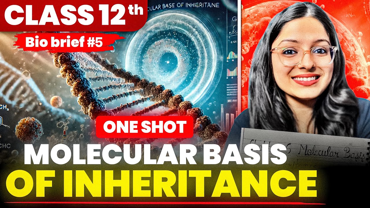Molecular Basis of Inheritance One Shot | Class 12 Biology Board Exam 2025 | Bio Brief Series ...