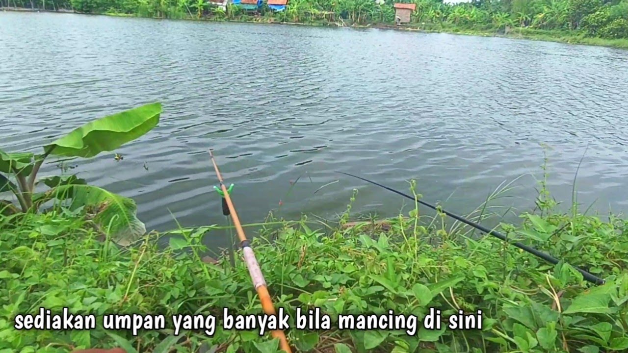 target besar resiko pun besar - YouTube