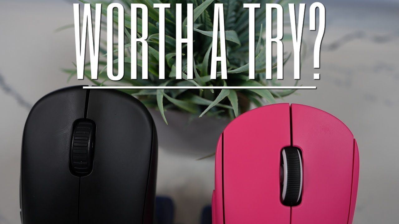 Worth a try? Two Underhyped Big Brand Mice - YouTube