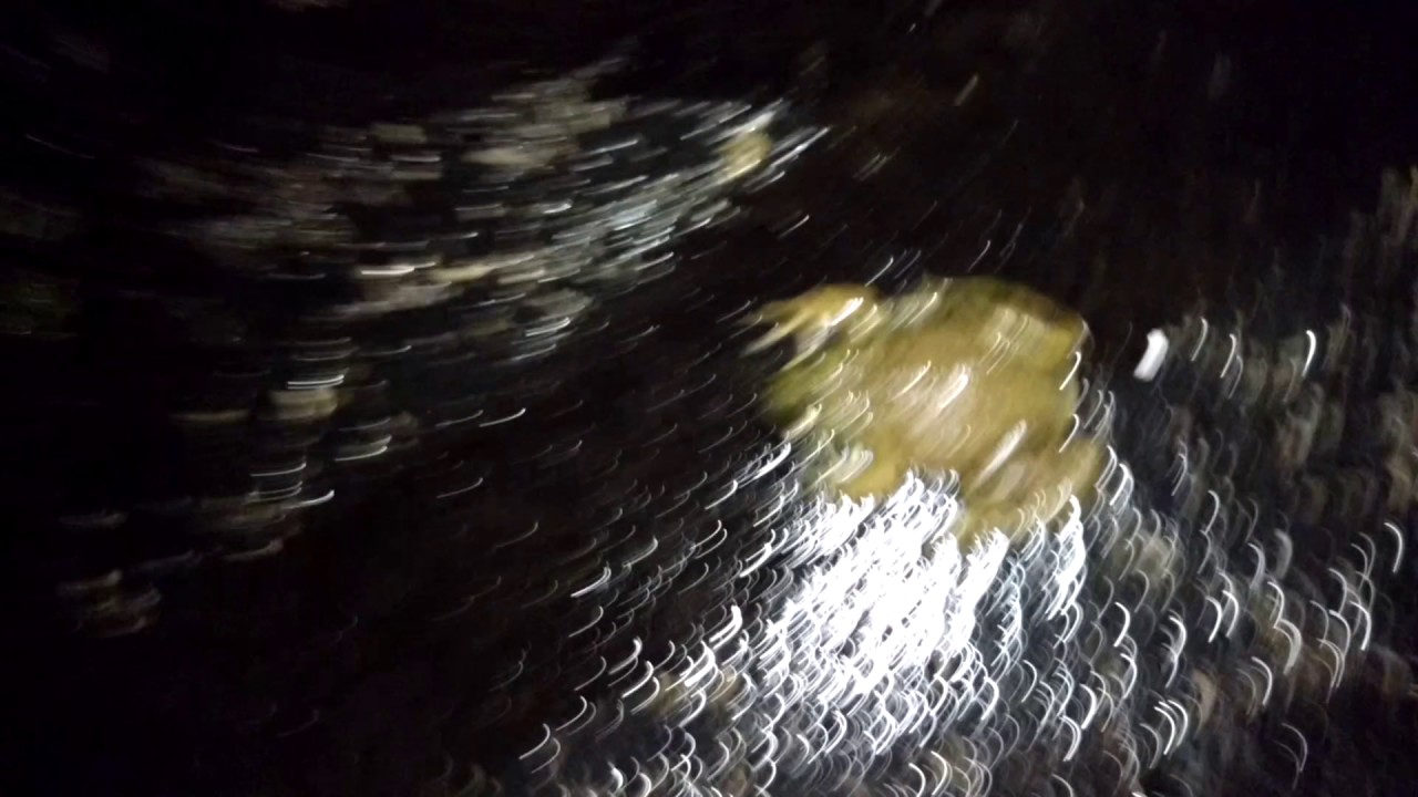 Did my mamaw run over a frog - YouTube