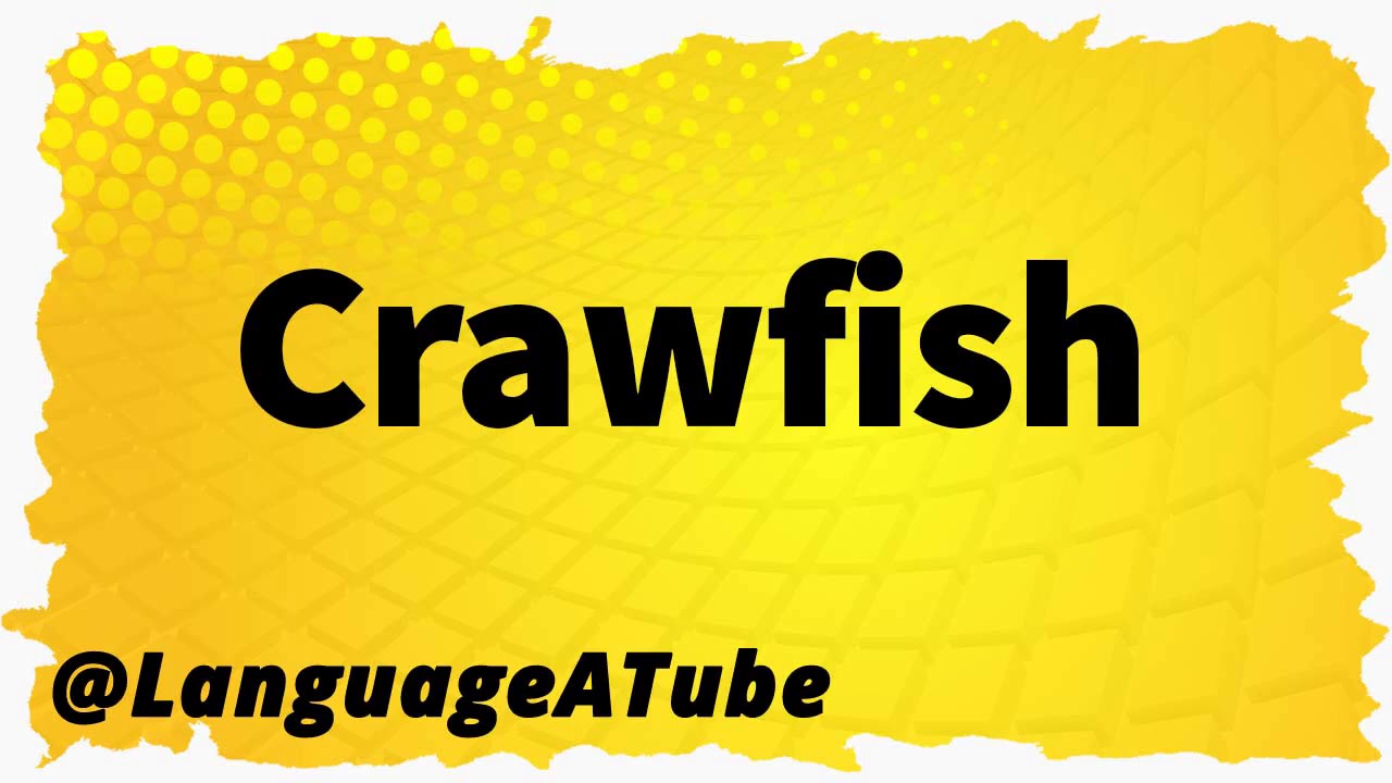 Crawfish Pronunciation ⚡️ How To Pronounce Crawfish! - YouTube