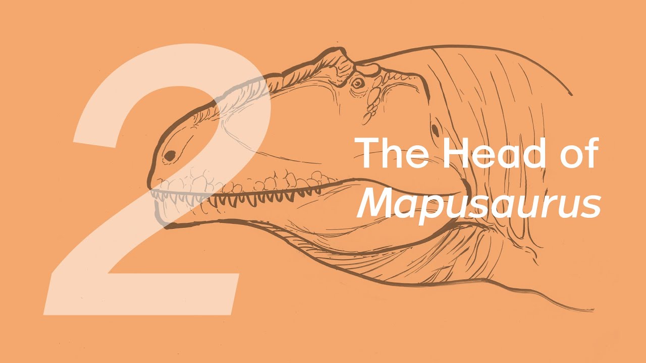 Mila the Mapusaurus 2: Head | Learn to Draw Dinosaurs with ZHAO Chuang ...
