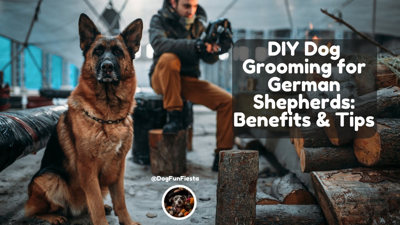 DIY Dog Grooming for German Shepherds: Benefits & Tips - YouTube