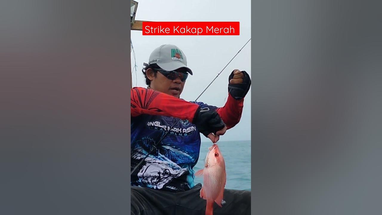 Sambaran Kakap Merah...!!! Jooss..!!! #ultralightfishing - YouTube