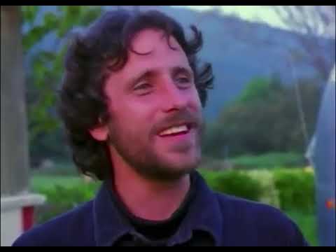 Butterfly (2001)