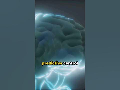 How Does Your Brain Make Decisions? The Shocking Truth Behind Your ...