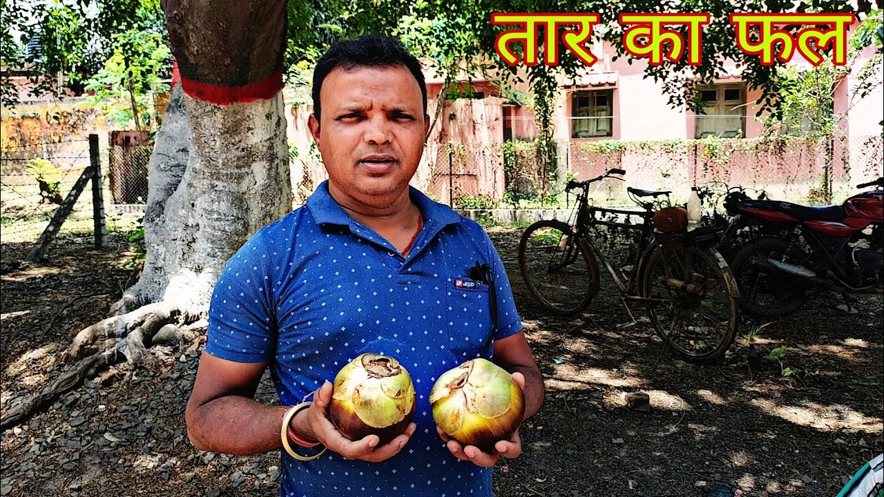 tar ka fal - YouTube