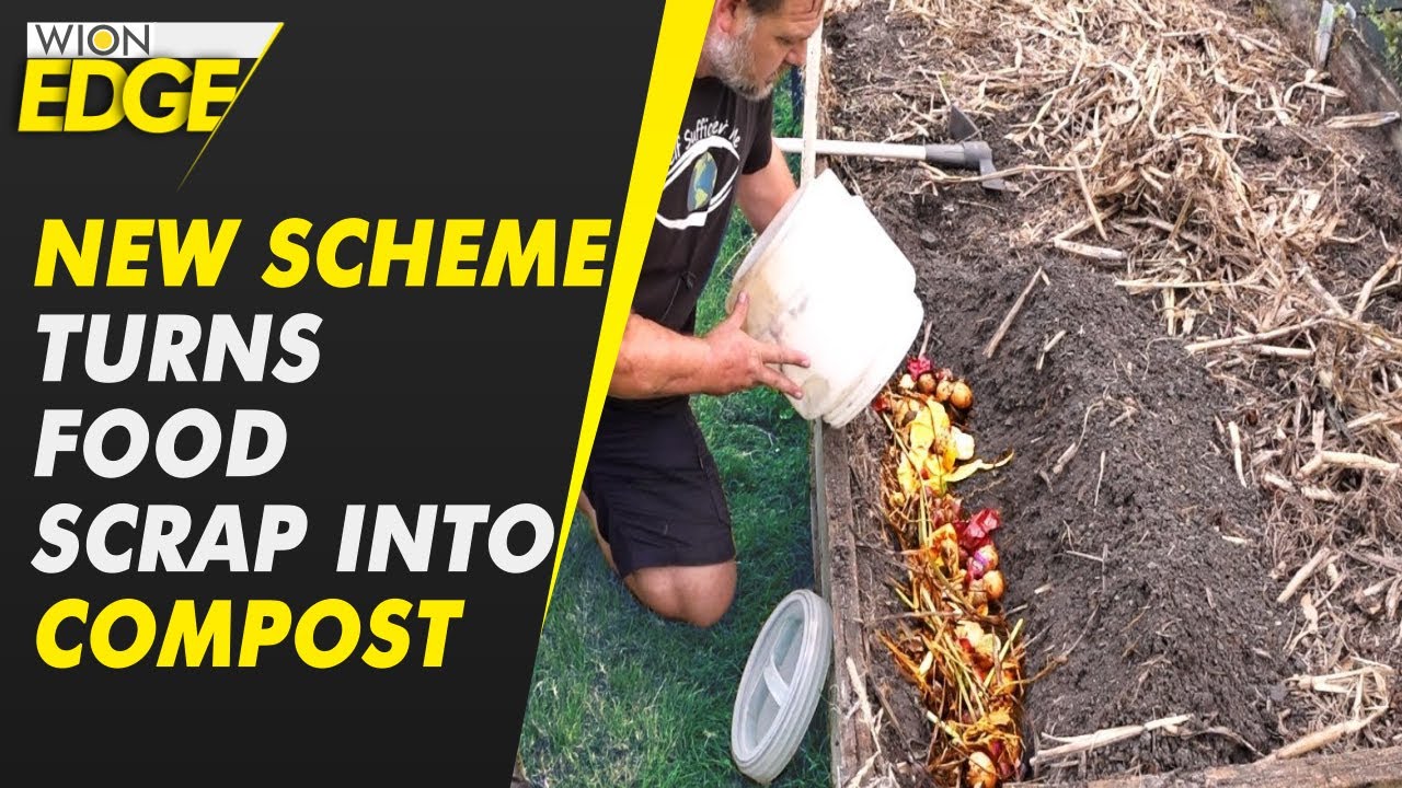 FOGO: New scheme turns food scrap into compost | WION Edge - YouTube
