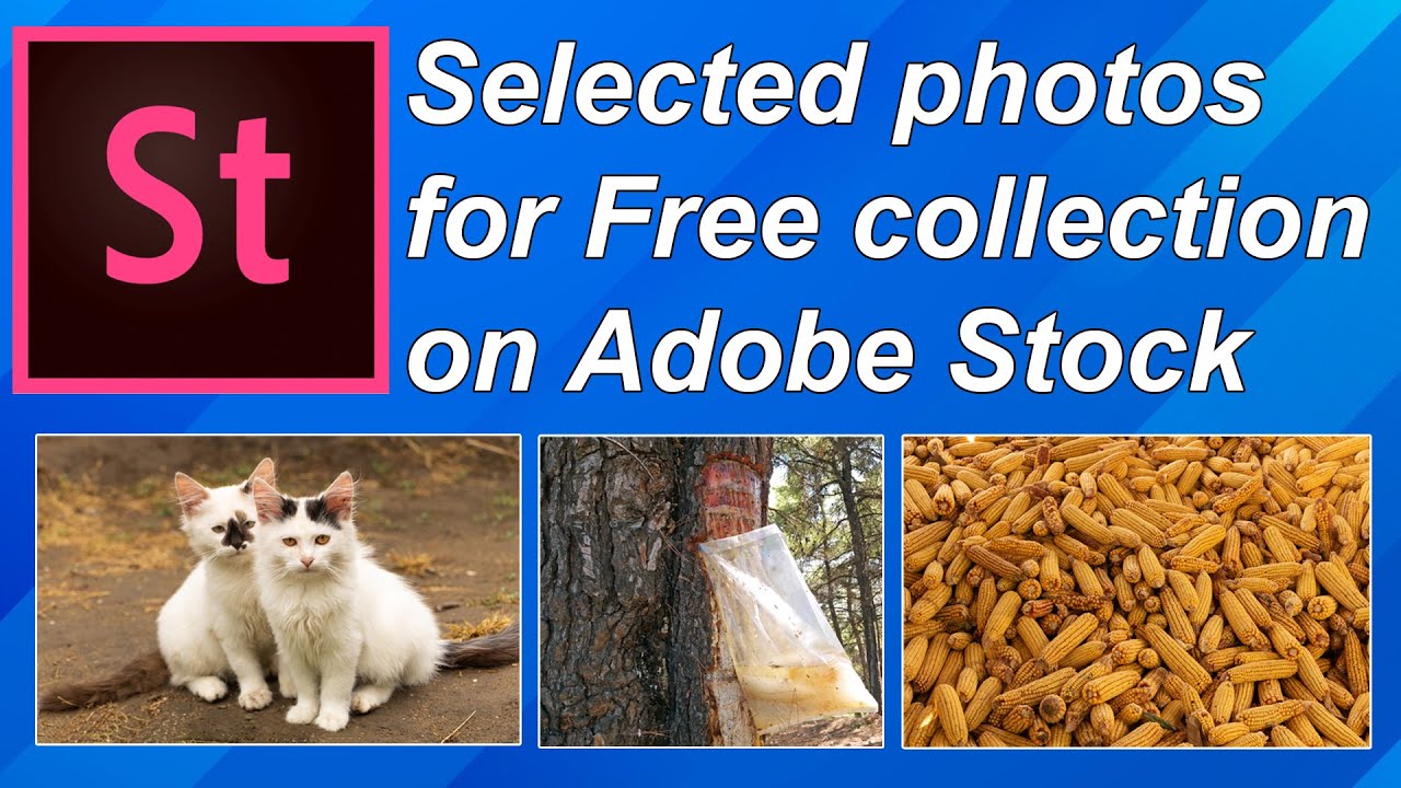 Selected photos for Free collection on Adobe stock - YouTube
