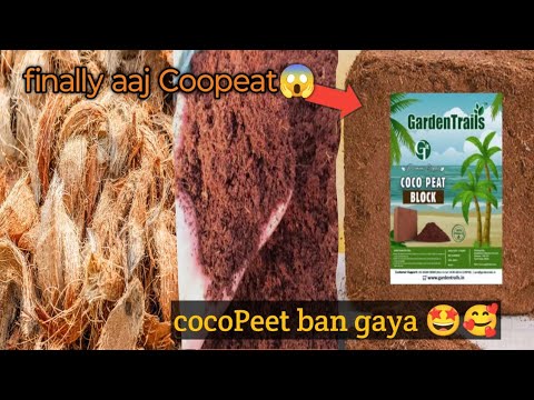 Coco peat bnana sikhe।।Aaj finally coco peat ban gya #viralvideo # ...