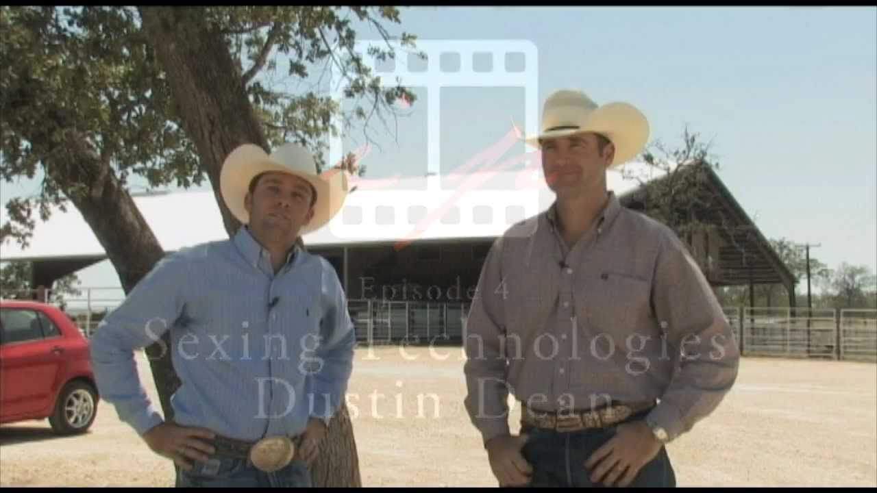 Episode 4 Dustin Dean Sexing Technologies - YouTube