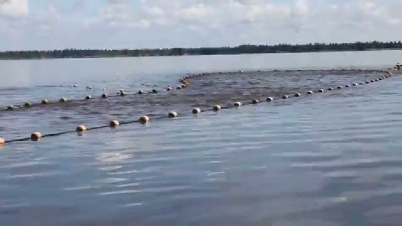 Wadley Haul Seine 2014 Thank the Lord! - YouTube