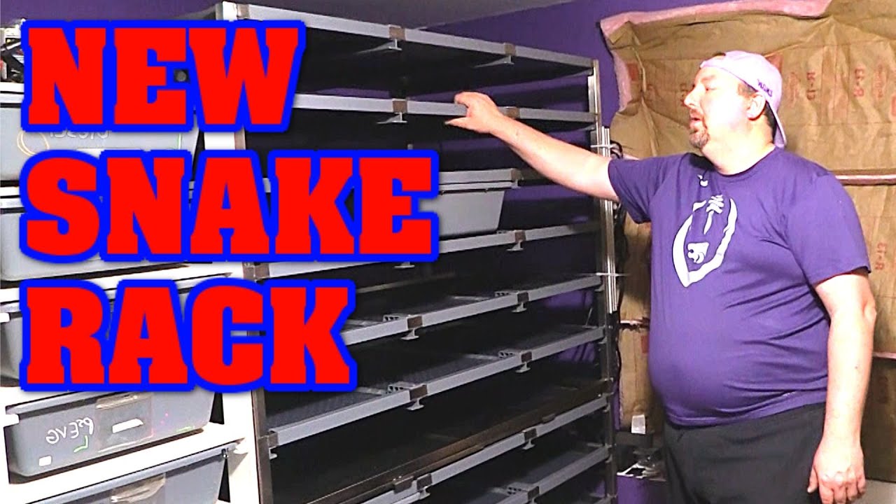We got a new SNAKE RACK! The freedom breeder proline 7030 series ...