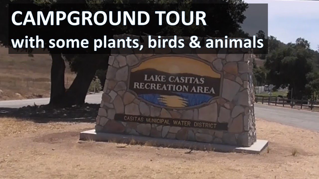 LAKE CASITAS CAMPGROUND TOUR, with plants, birds & animals; Grebe ...
