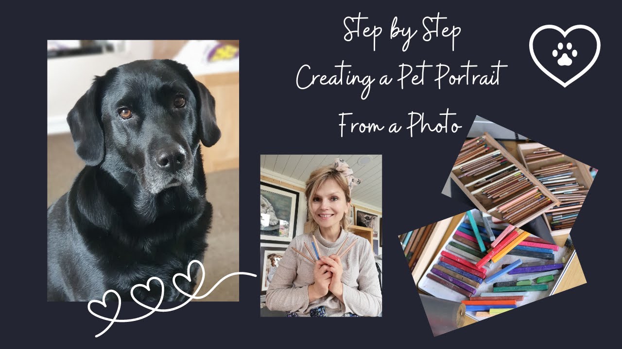 Black Labrador . Pastel Portrait. - YouTube