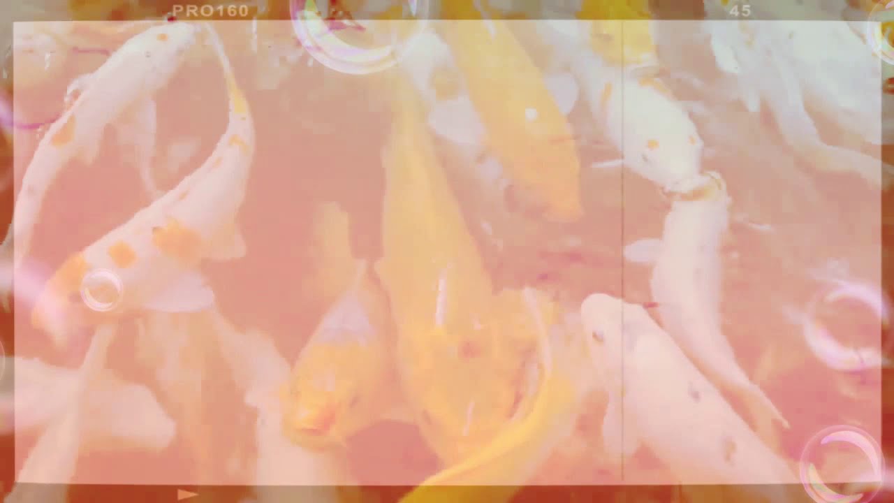 Taknikal YouTube channel studio duniya sapsa katanak masli or janoar ...