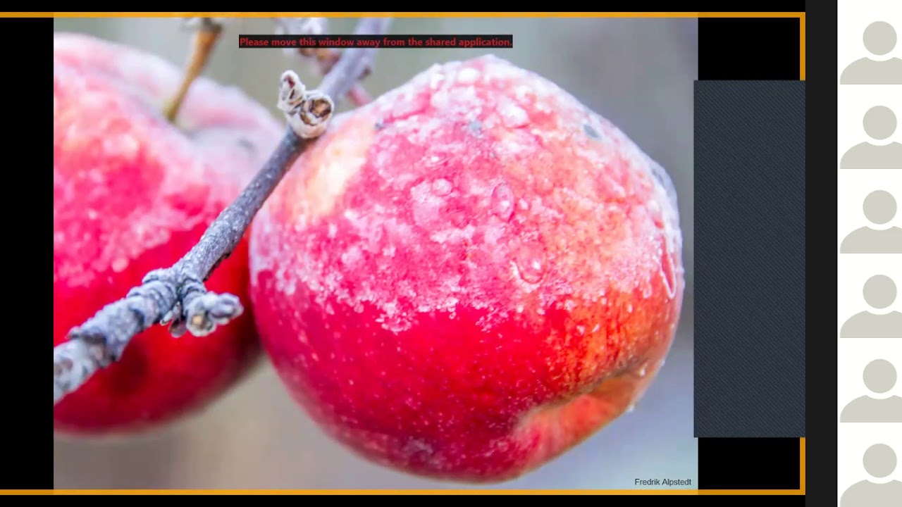 Field to Fork 2019: Growing Apples in North Dakota - YouTube