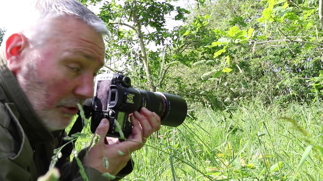 Insects and Macro. UK Nature and Wildlife photography. - YouTube