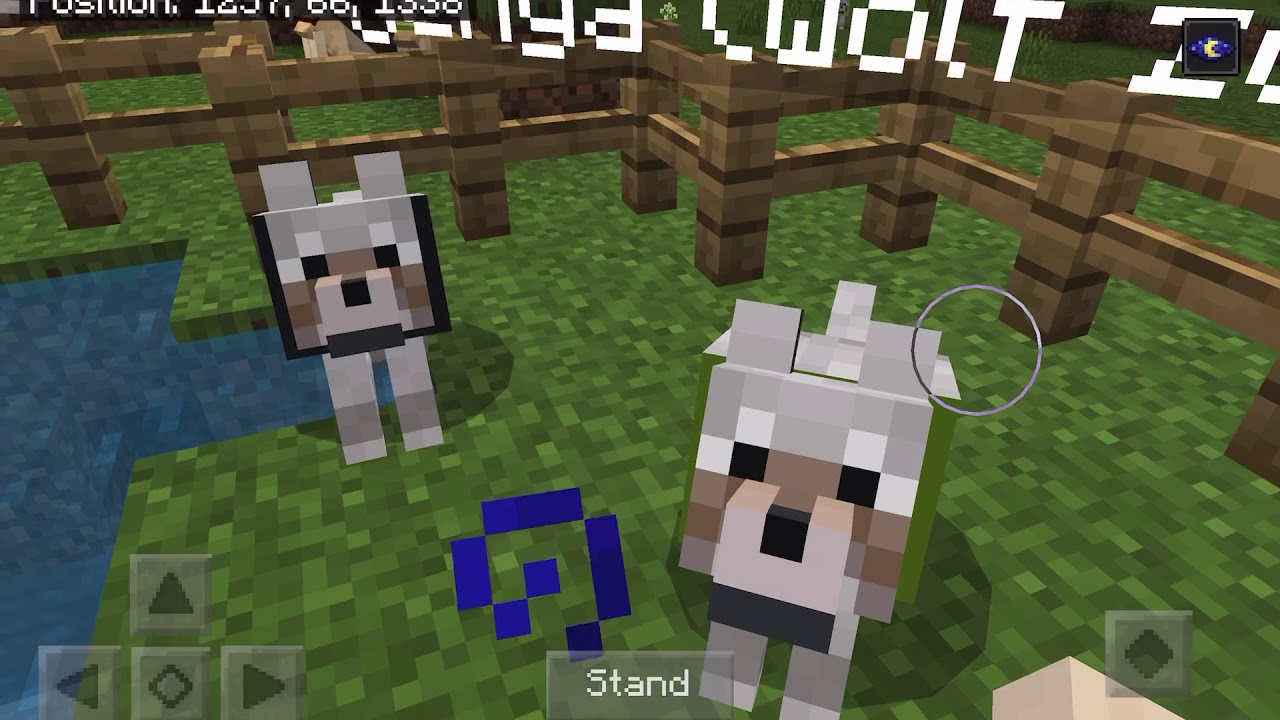 I found my puppy in animal topia - YouTube
